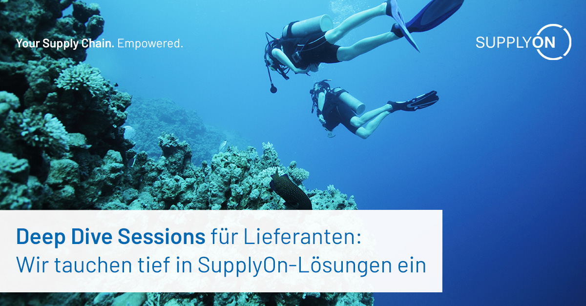 Deep Dive Sessions für Lieferanten: Wir tauchen tief in SupplyOn ...